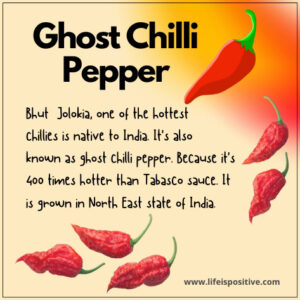 Shocking Secrets: Can Ghost Chili Pepper Scoville Boost Health?