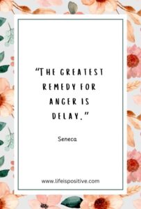30 Famous Quotes by Seneca Packed With Wisdom - Life is Positive